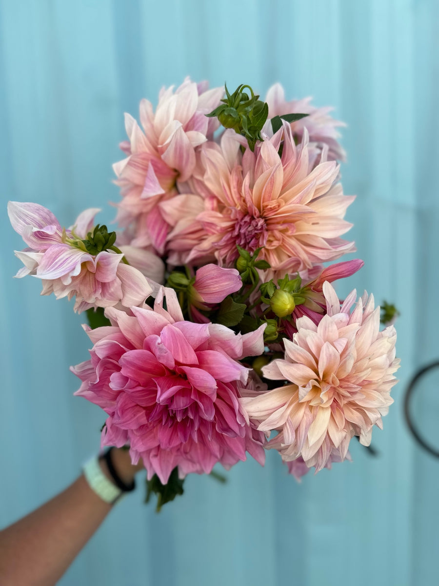 Single Stem Flower Arrangements